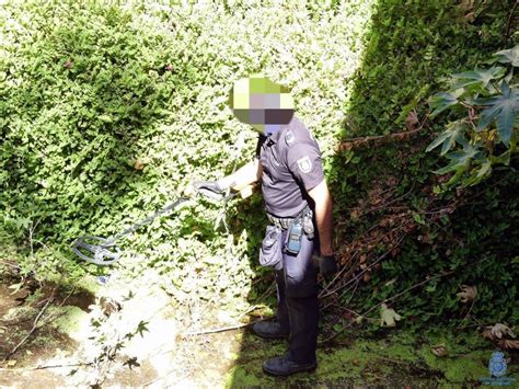 La Investigación Por Los Tres Detenidos Por Intento De Secuestro Sigue