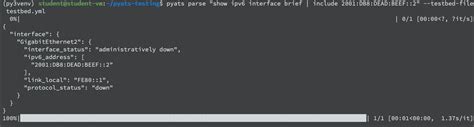 Add Parser For Show Ipv6 Interface Brief Include Ip By