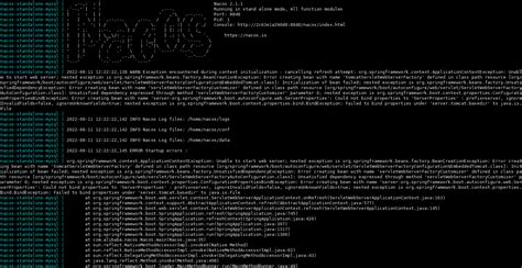 nacos从2 0 4升级到2 1 1报错 Issue 9909 alibaba nacos GitHub