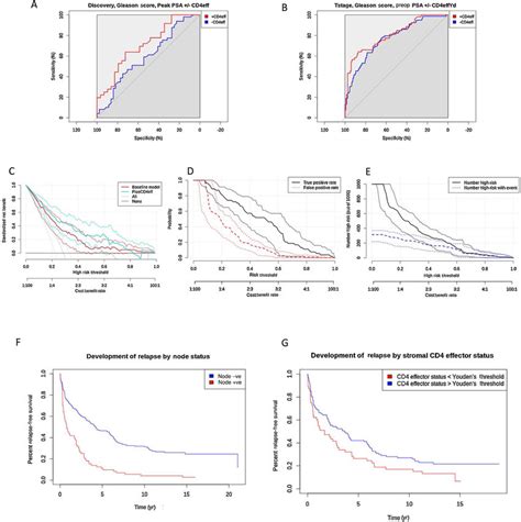 Clinical Impact Of Stromal Cd4 Effector T Cells In Lymph Node
