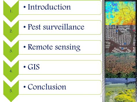 Remote Sensing And Gis Role In Ipm Pptx