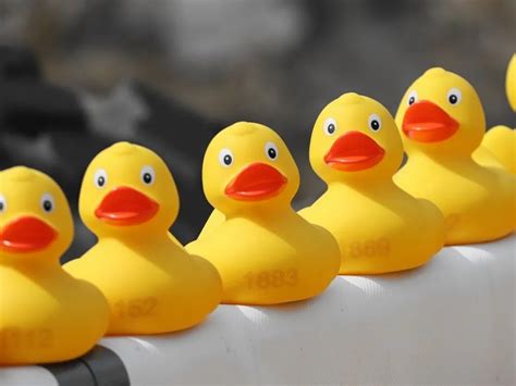 ¿qué Significan Los Patitos Amarillos En La Cabeza La Nueva Tendencia