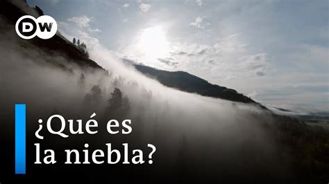Cómo se forma la niebla YouTube