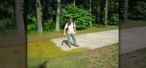 How To Stain Your Concrete Driveway Landscaping Wonderhowto