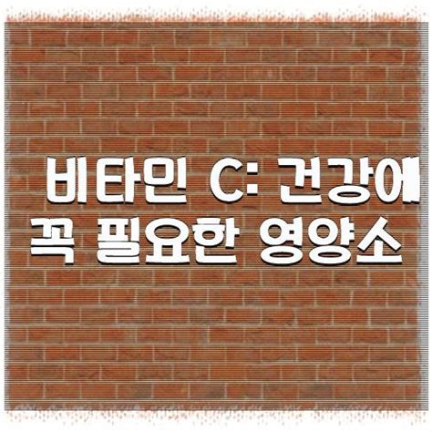 비타민 C 건강에 꼭 필요한 영양소