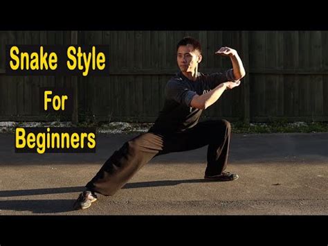 Shaolin Kung Fu Wushu Snake Style Basic Training For Beginners Youtube