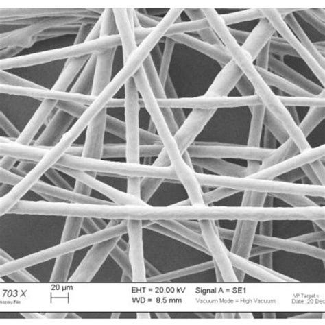 Sem Micrograph Of Algh Peo Fibers Download Scientific Diagram