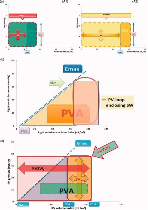 A Schematic Representation Of Pressure‐volume Pv Loops For The