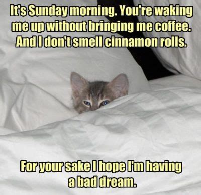 80 Good Morning Coffee Memes And Images To Kick Start Your Day