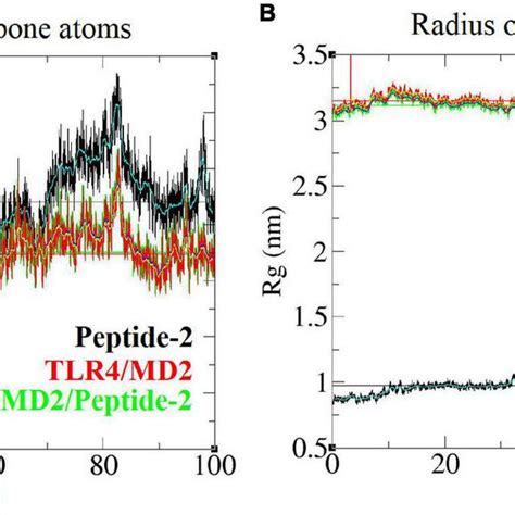 Root Mean Square Deviation And Radius Of Gyration Of Different Backbone
