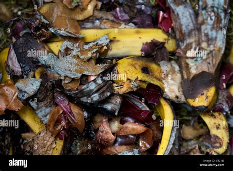 Detail Of Organic Vegetable And Fruit Matter Decomposing Inside A Home