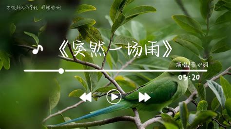 《突然一场雨》 蓝心羽「突然一场雨 浇透我思绪 潮湿的空气 让思念漫溢」 Youtube