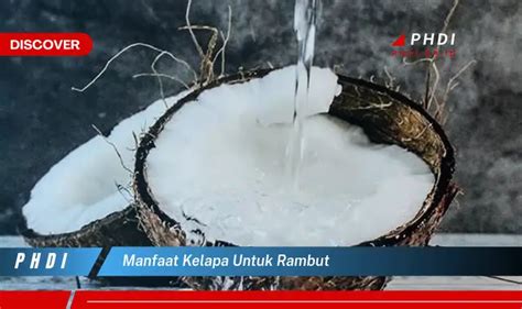 Ketahui 7 Manfaat Kelapa Untuk Rambut Yang Bikin Kamu Penasaran