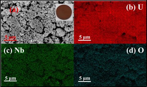 A Scanning Electron Micrograph Bd Eds Elemental Mapping Of U
