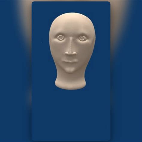 Surreal Memes Lens By Kaninte Snapchat Lenses And Filters