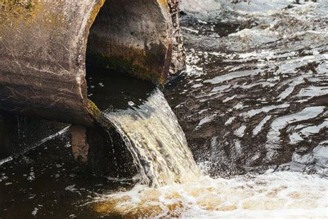 Dirty Water Flows From The Pipe Into The River Environmental Pollution