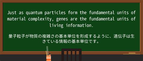 【英単語】fundamental Unitを徹底解説！意味、使い方、例文、読み方 おもしろい英文法