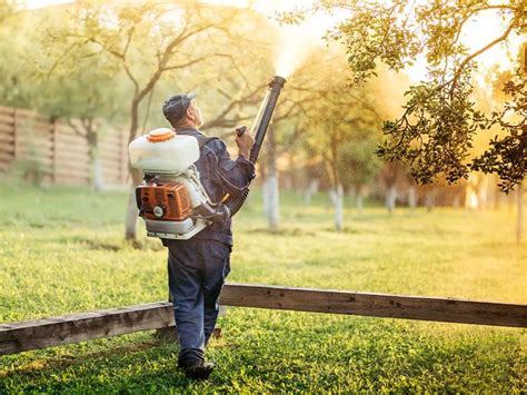 Trạm Bẫy Dơi Trạm Bắt Dơi Hiệu Quả Giá Rẻ Pest Kill 247