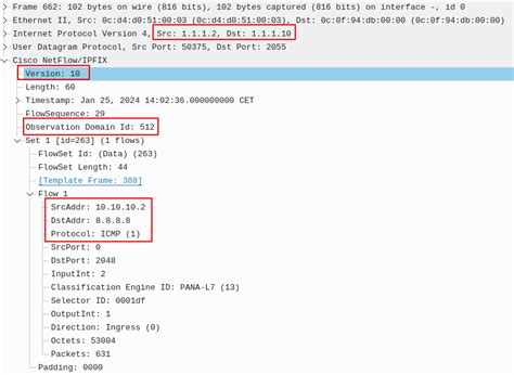 Insight Into NetFlow Observation Point Observation Domain ID And Source ID
