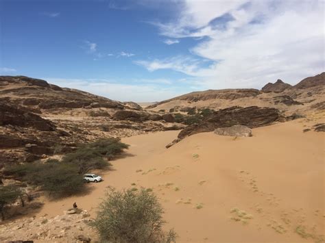 Non Stop Birding Western Sahara Landscapes