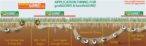 Grubgone