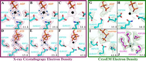 Comparison Of Electron Density Maps From Cryoem And X Ray Download