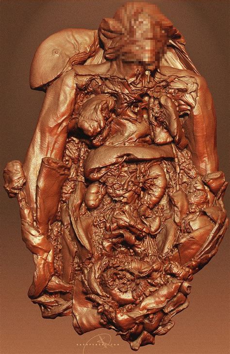 Human Cadaver 3d Model By Alexey Kashpersky Via Behance Human Cadaver Human 3d Model