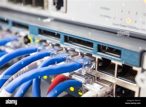UTP Cat E Cable Connected Network Switch Close Up For Transfer Data And Information Stock Photo