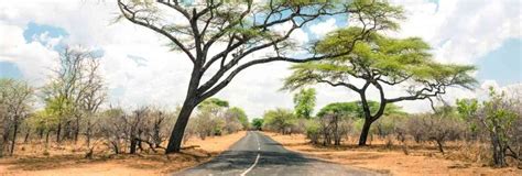 Zimbabwe Visa For Indian Blog Click2visas