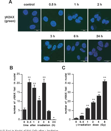 Figure 1 From Radiosensitizing Effect Of P2x7 Receptor Antagonist On