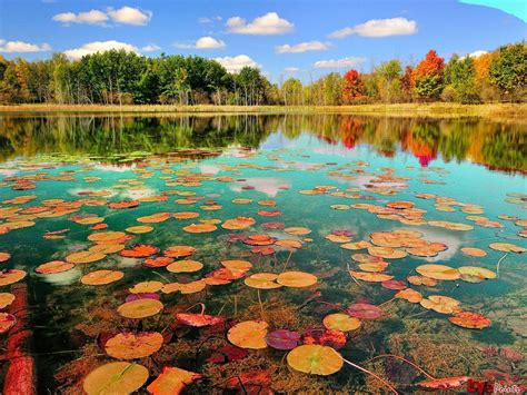 Pretty Nature Wallpapers Top Free Pretty Nature Backgrounds