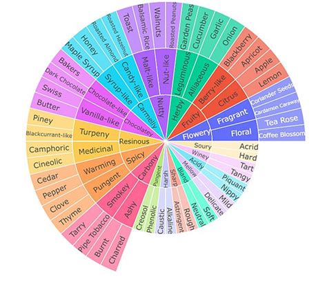 treemaps and sunburst charts with plotly by darío weitz analytics vidhya medium