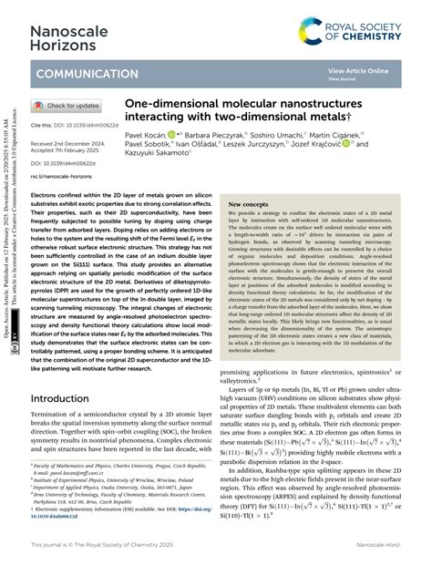 Pdf One Dimensional Molecular Nanostructures Interacting With Two