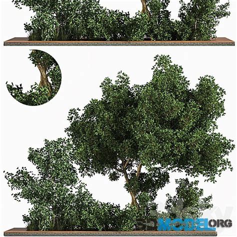 3d Model Garden Set Grass And Tree