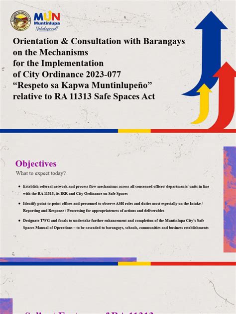 2024 Safe Spaces Ash Framework Muntinlupa City Pdf Harassment