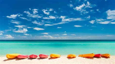 Pytorch的19种损失函数 知乎