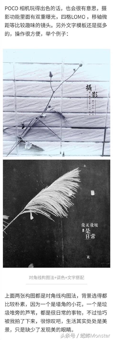 沒有單反沒關係，教你利用手機就拍出高逼格的照片 每日頭條