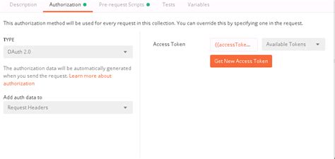 Make An Api Call With Variable Token With Oauth 20 Stack Overflow