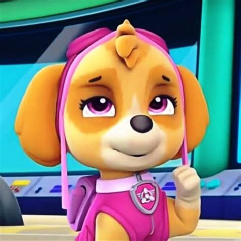 Pin By Thomas Ash On Paw Patrol Pups Skye Paw Patrol Paw Patrol Pups