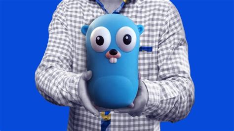 ¡descarga Gratis El Libro En Pdf Sobre Go Y Aprende A Programar En Este