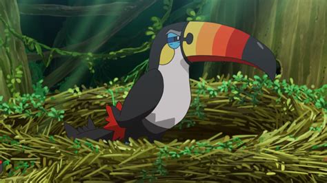 Toucannon Anime International Pokédex Wiki Fandom