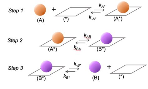 Steady State Kinetics With Kinetic Monte Carlo In Python And The Connection To Mean Field
