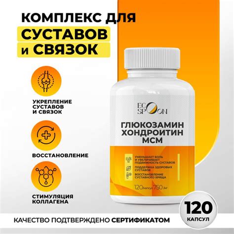 Глюкозамин Хондроитин МСМ Glucosamine Chondroitin Msm
