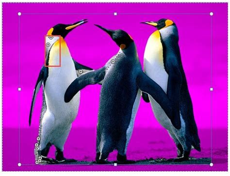 How To Remove The Background Or Unwanted Parts Of A Picture In Your Word