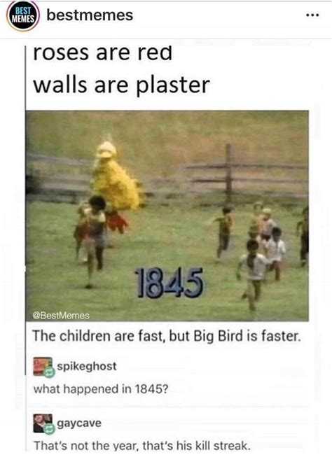 Big Bird Meme By Datdbzboi Memedroid