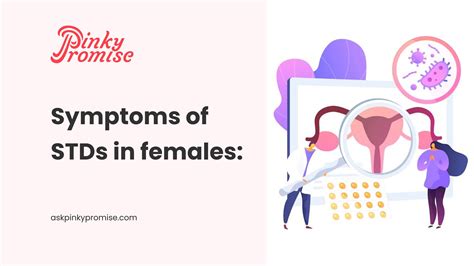 Symptoms Of Stds In Females By Askpinkypromise Issuu