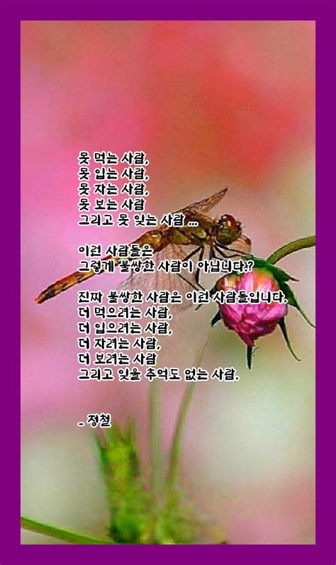 진짜 불쌍한 사람은