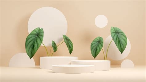 배경에 식물이있는 둥근 모형 연단의 3d 렌더링으로 프리젠 테이션에 적합합니다 0명에 대한 스톡 사진 및 기타 이미지 0명