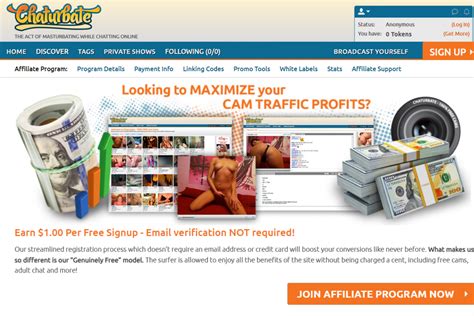 Chaturbate Review Marketermoney