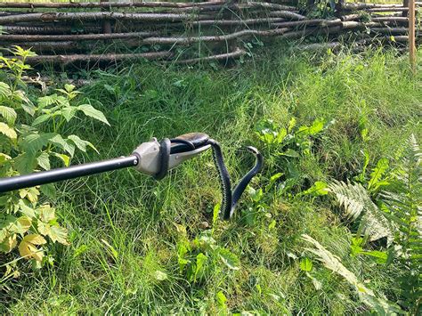 Schlangenbergung Freiwillige Feuerwehr Saalfelden